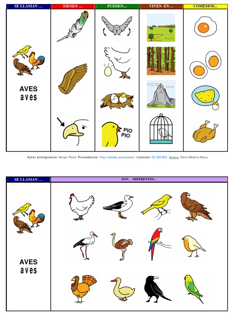 Carta de Campo Semantico-Aves PDF | PDF