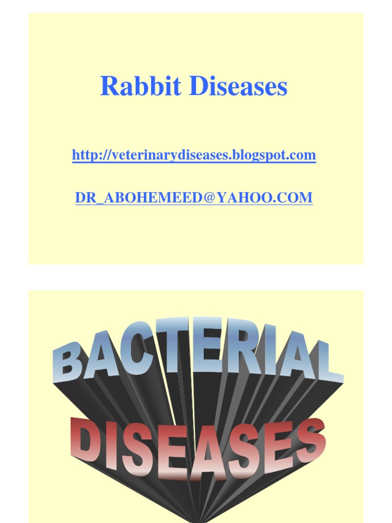 +rabbit Diseases JPG PDF | PDF | Infection | Pneumonia