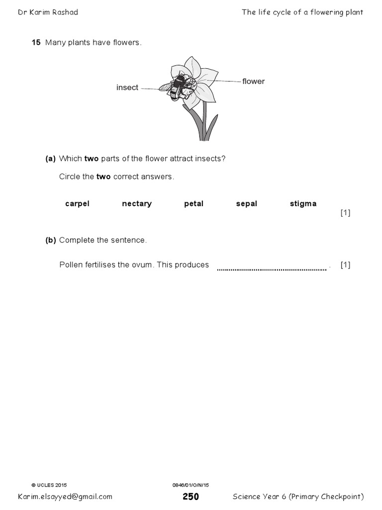 2 The Life Cycle | PDF | Flowers | Petal