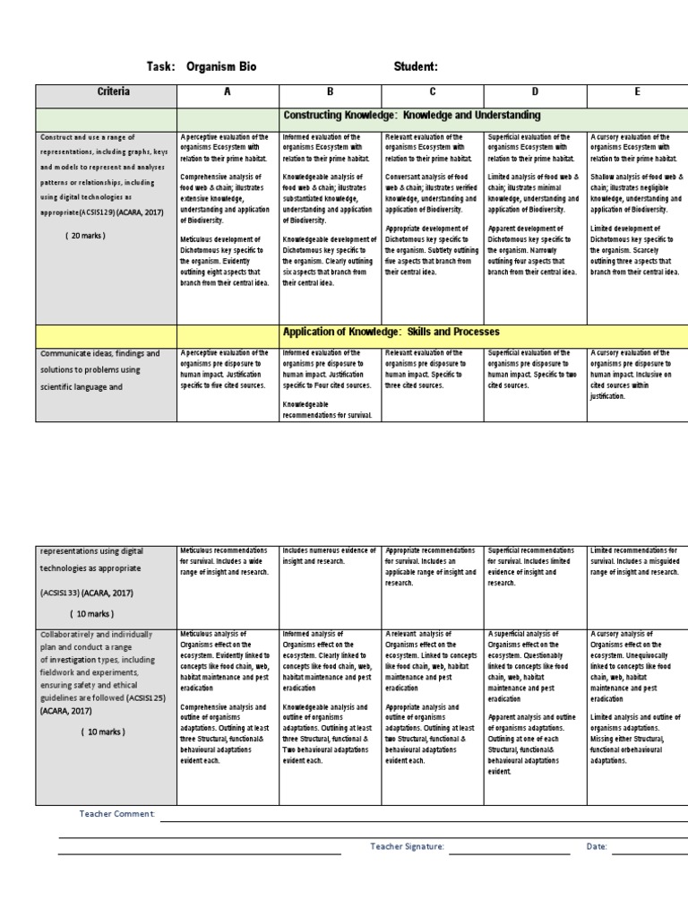 Rubric | PDF | Insight | Ecosystem