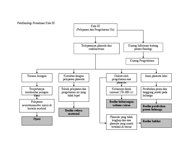 Patofisiologi Persalinan Kala III | PDF