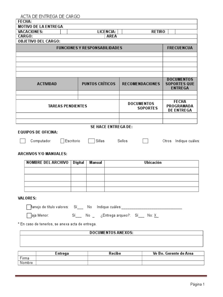 Acta Entrega Cargo