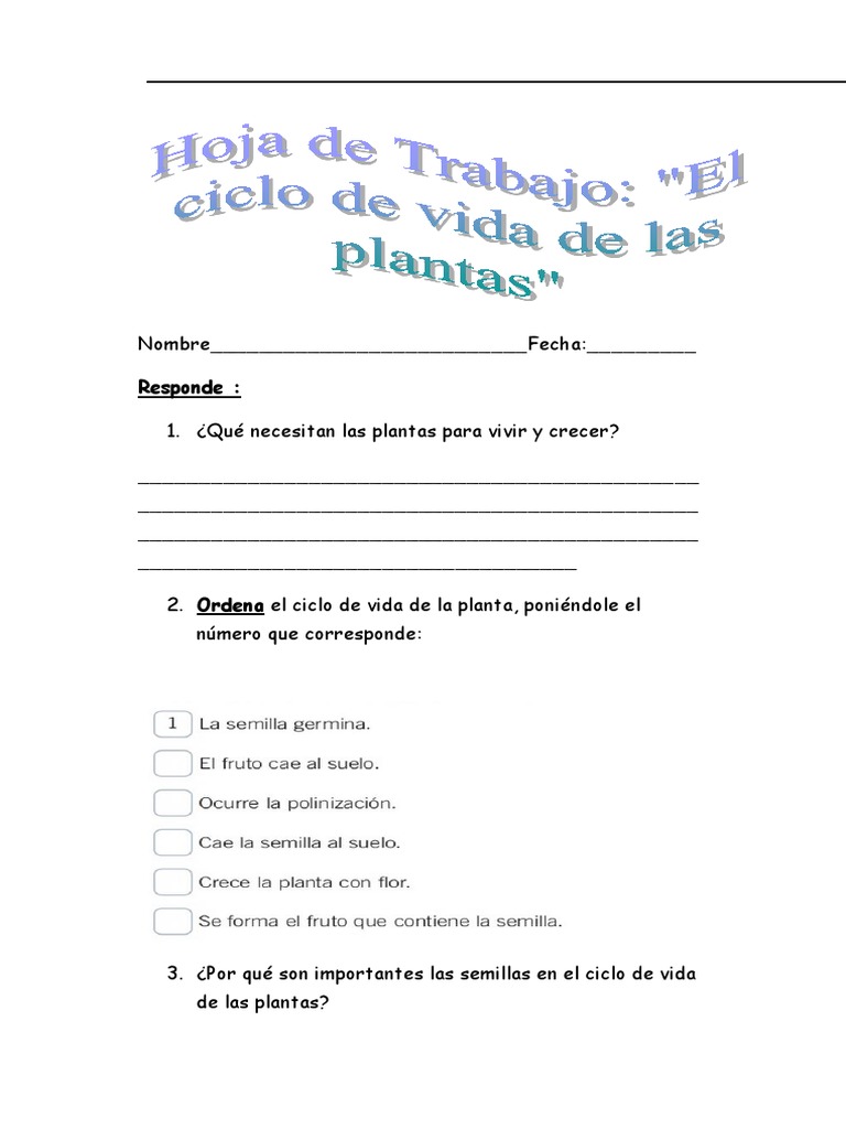 Hoja de trabajo: Ciclo de vida de plantas | PDF