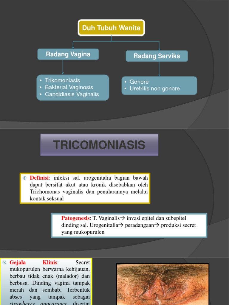 Duh Tubuh Vagina Vanny | PDF