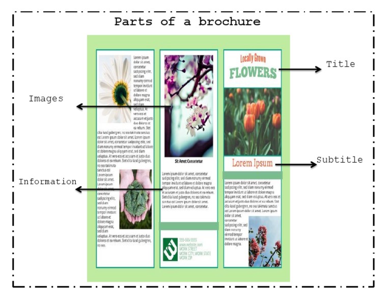 Parts of A Brochure | PDF