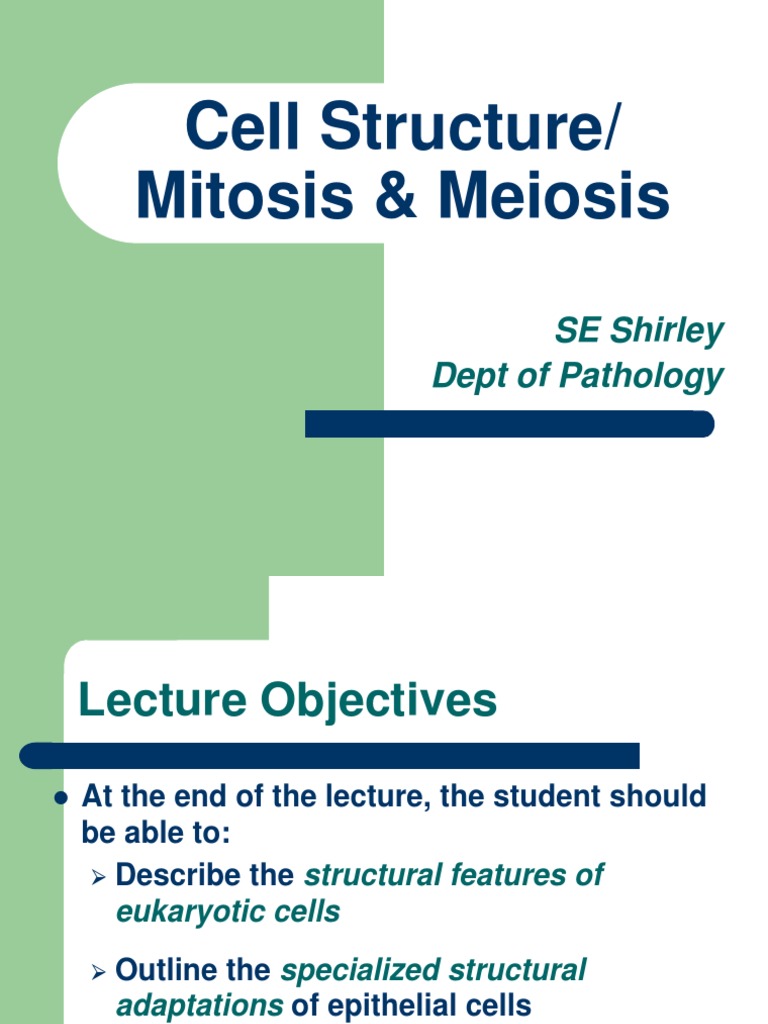 Cell Structure/ Mitosis & Meiosis: SE Shirley Dept of Pathology | PDF ...