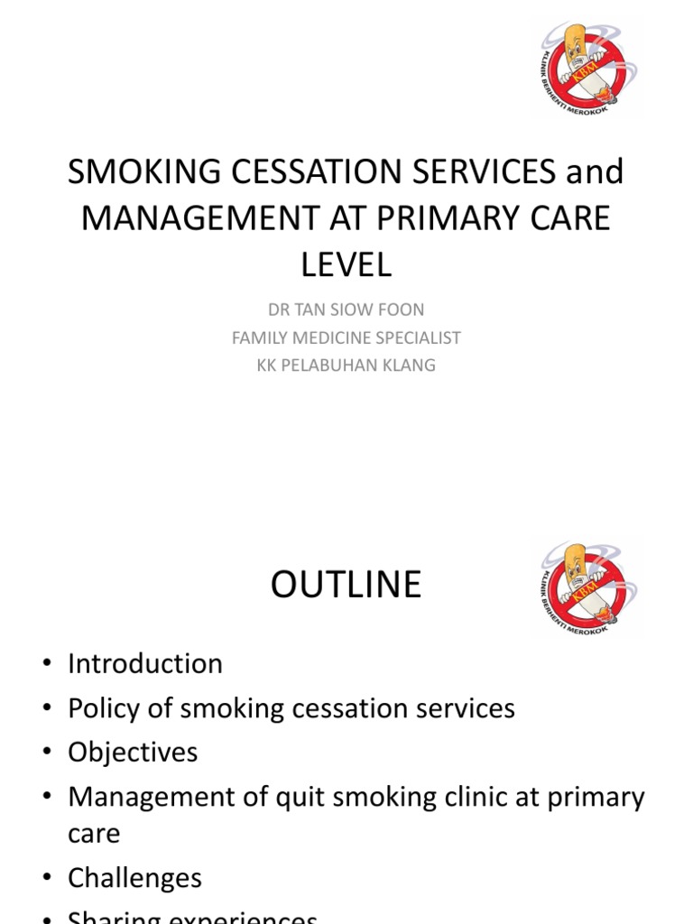 Smoking Cessation Services at Primary Care Level | PDF