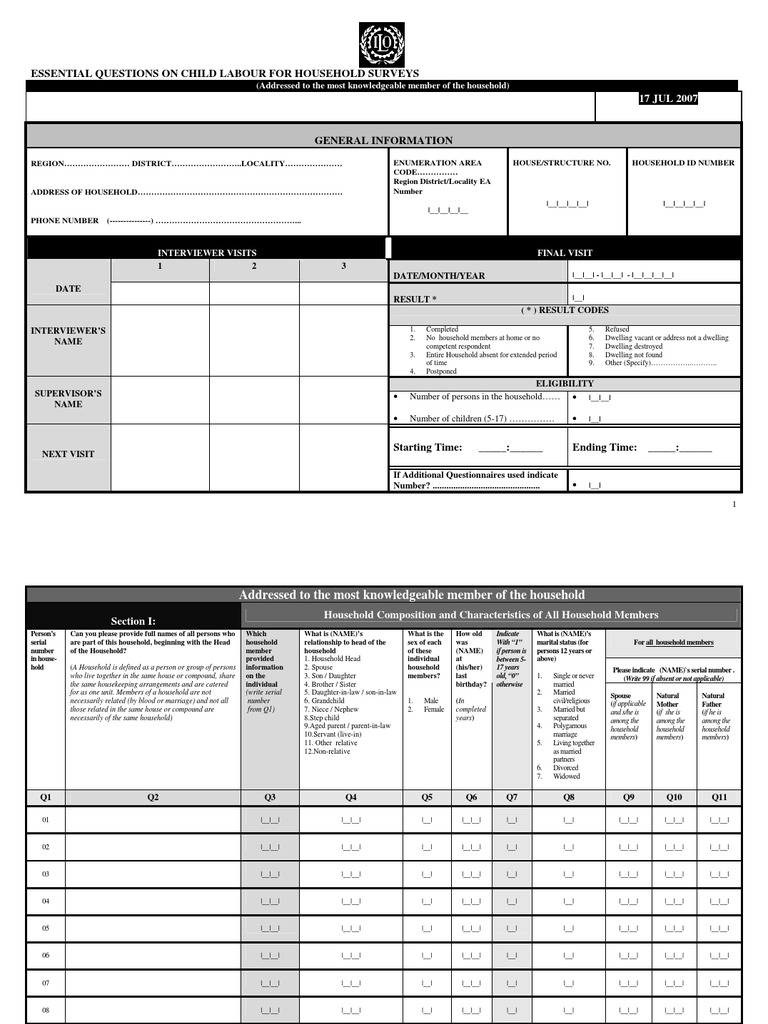 Essential Questions On Child Labour For Household Surveys | PDF