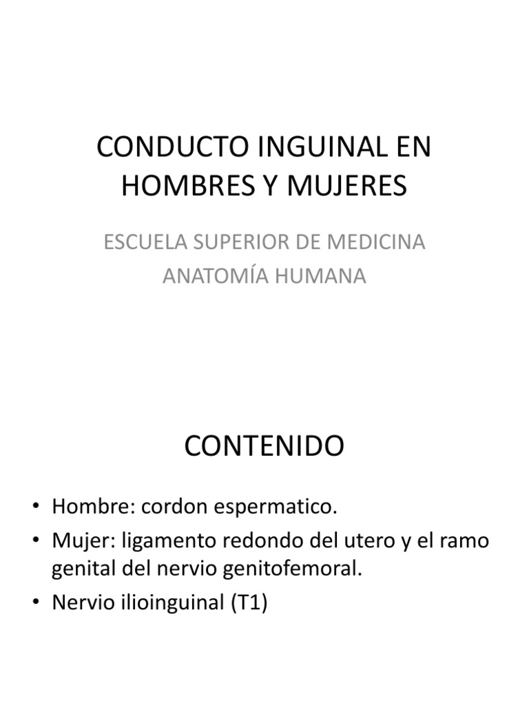 Contenido del Conducto Inguinal | PDF | Testículo | Anatomia animal