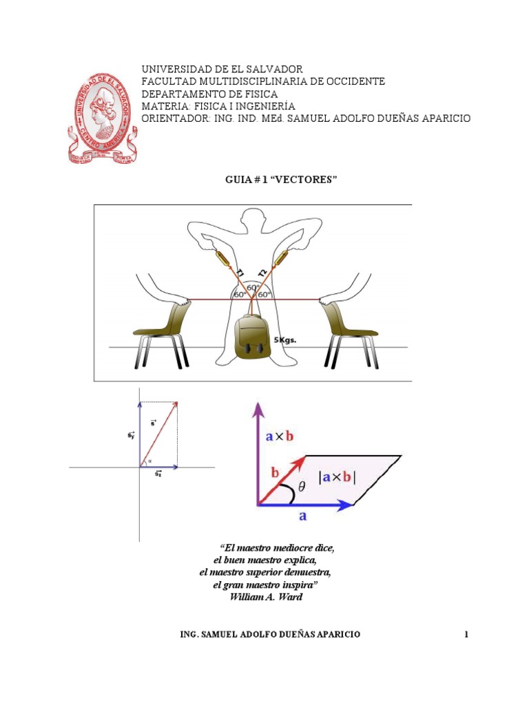 Vectores 1d y 2d | PDF | Cálculo vectorial | Vector Euclidiano