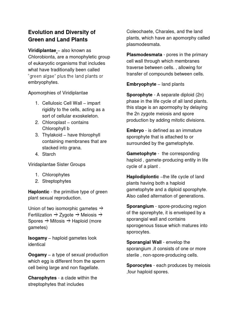 Evolution of Green Land Plants | PDF | Moss | Horticulture And Gardening