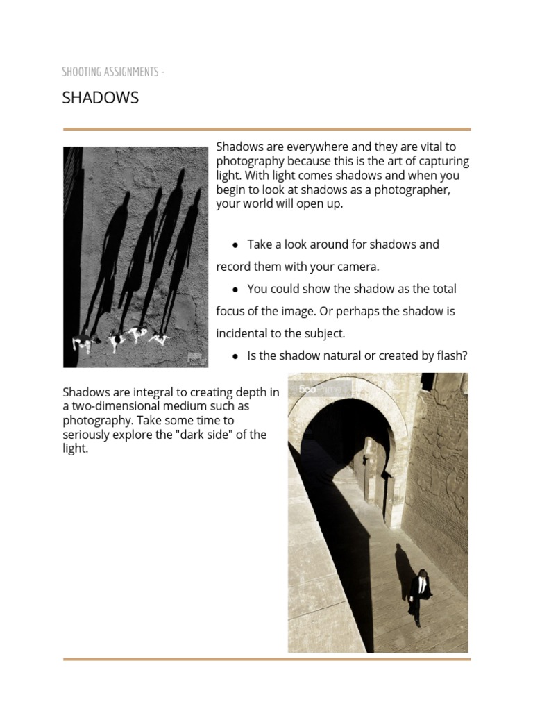 Shadow Shooting Assignment | PDF