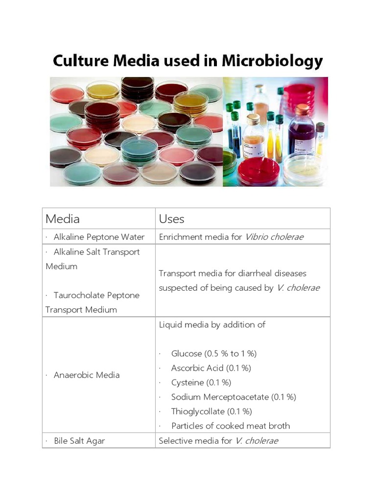 Culture Media | PDF | Growth Medium | Gram Negative Bacteria