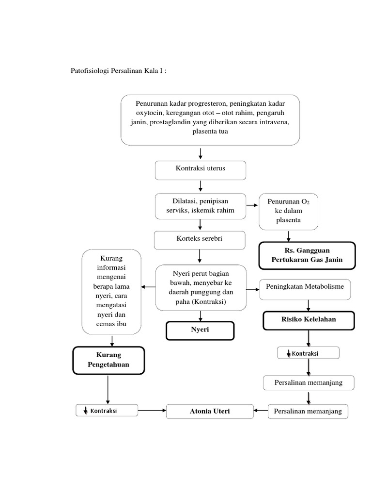 Pathway Persalinan Normal | PDF