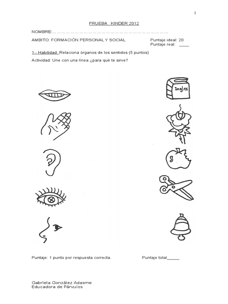 Prueba Kinder | PDF | Dibujo | Science