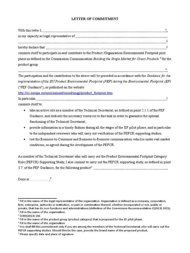 Letter Commitment PEF Final | PDF | Business | Government