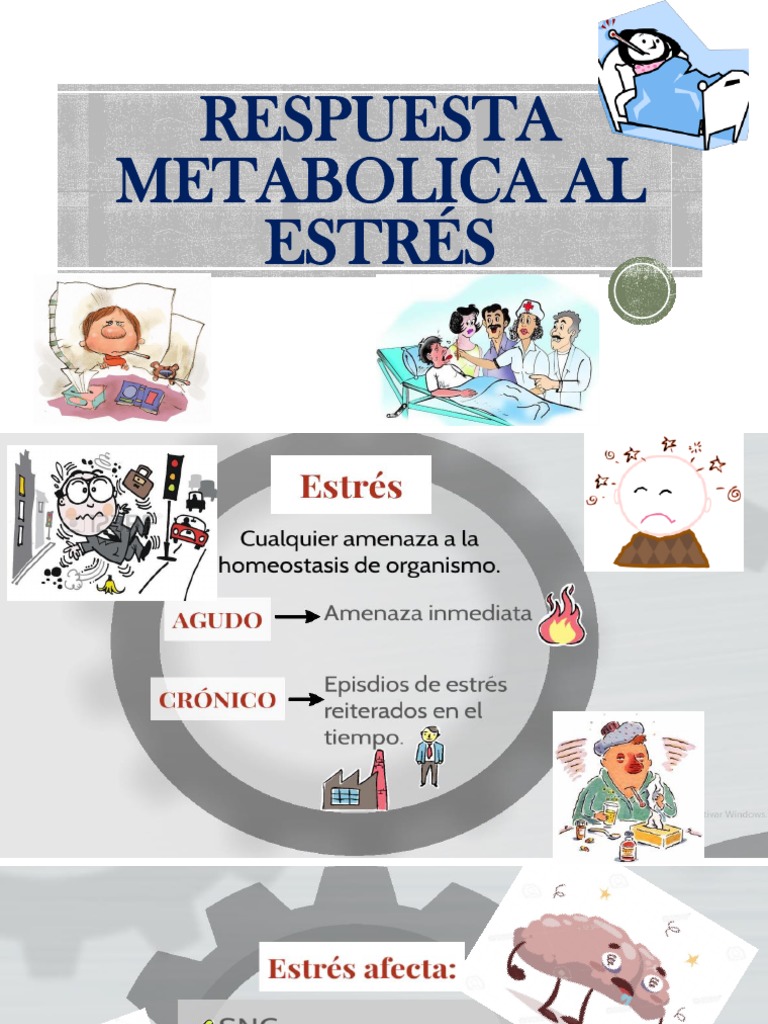 Respuesta Metabolica Al Estrés | PDF | Cortisol | Fisiología