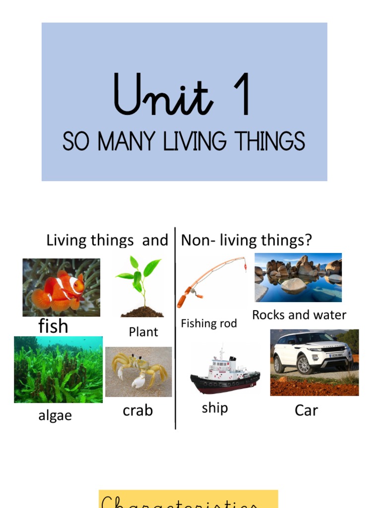 Unit 1: So Many Living Things | PDF