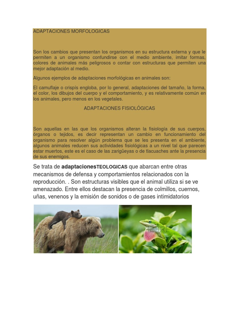 Adaptaciones Morfologicas | PDF