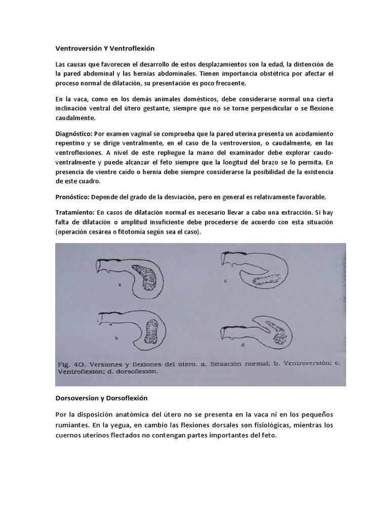 Ventroversión y Ventroflexión en Parto | PDF | Parto | El embarazo