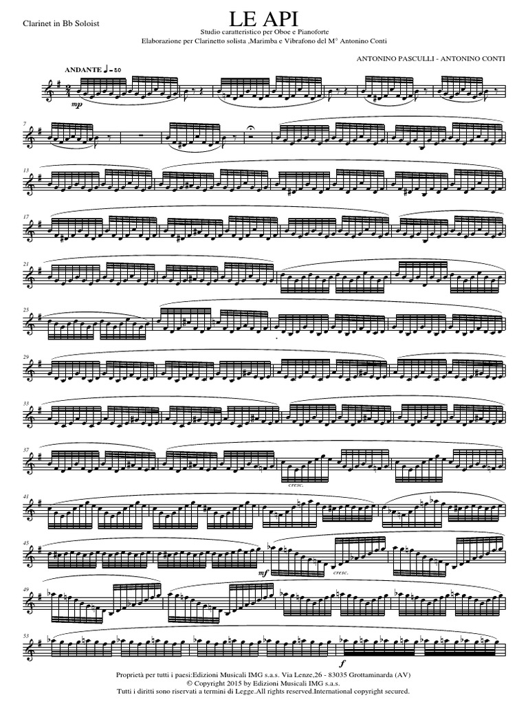 LE API - Clarinet in BB Soloist | PDF | Hornbostel-Sachs | Technologie ...