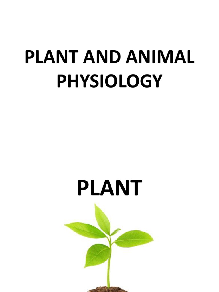 Plant and Animal Physiology Overview | PDF | Plant Physiology | Organ ...