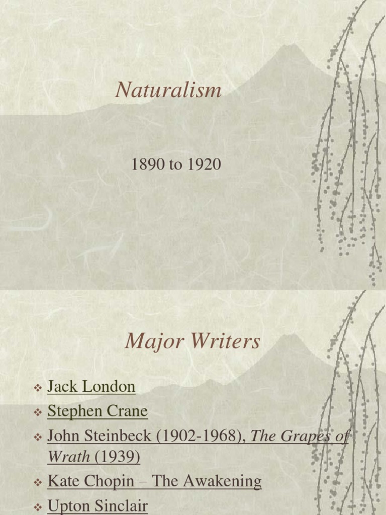 Naturalism The Open Boat | PDF | Stephen Crane | Free Will