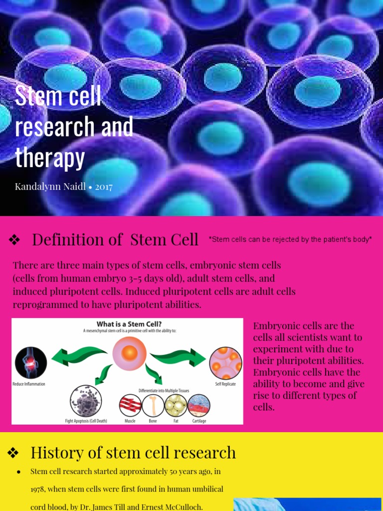 Stem Cell Research Visual Aid | PDF | Stem Cell | Cell Potency