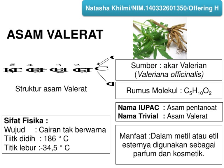 Asam Valerat Natasha Fix | PDF
