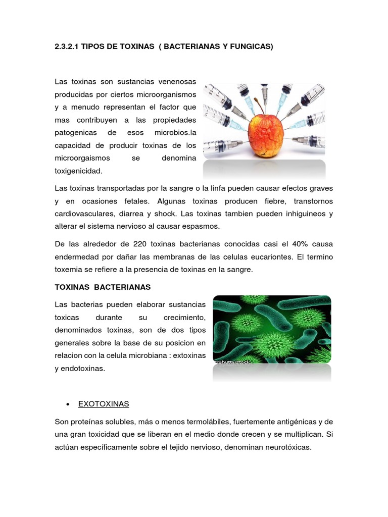 2.3.2.1 Toxinas | Toxina | Las bacterias