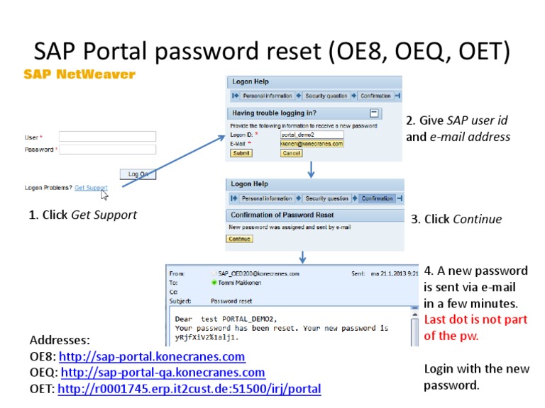 SAP Portal Password Reset | PDF | Business | Computers