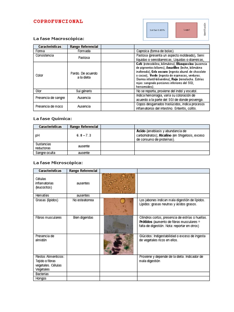 Copro Funcional | PDF | Heces | Diarrea