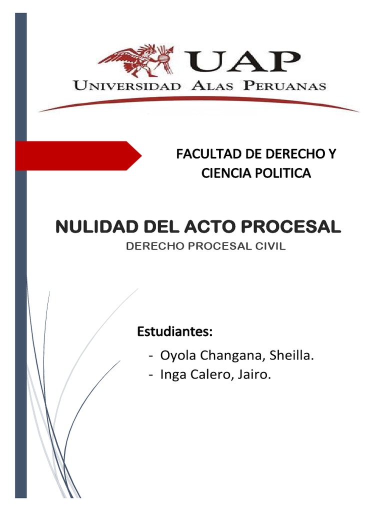 Las Nulidades Procesales | PDF | Ley procesal | Nulo (ley)