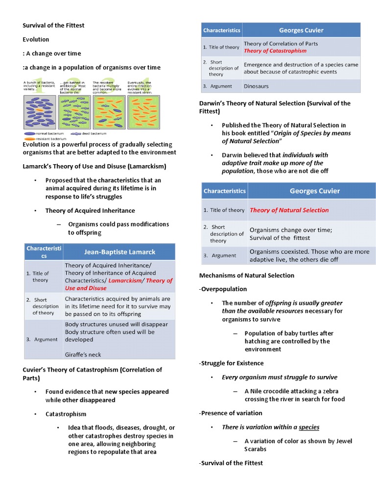 Survival of The Fittest | PDF | Natural Selection | Evolution