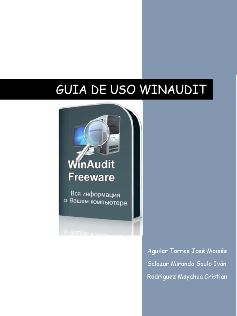 Guia de Uso Winaudit | PDF | Hardware de la computadora | Software
