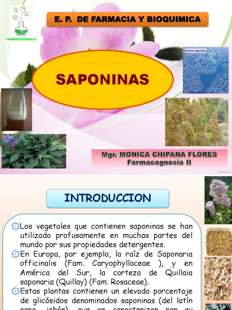 1 C Saponinas | PDF | Tensioactivo | Química