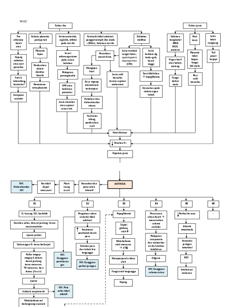 T10 - Kritis 2 - WOC Asfiksia Pada Bayi - A2 | PDF