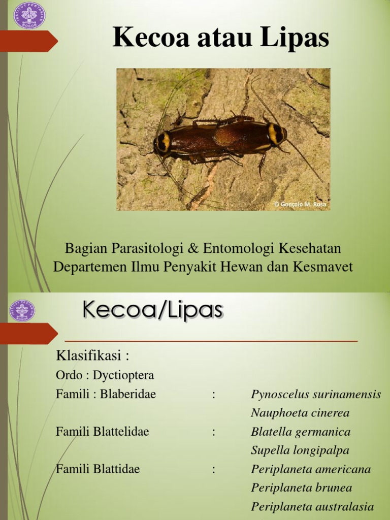 Slide Ektoparasit Kuliah | PDF