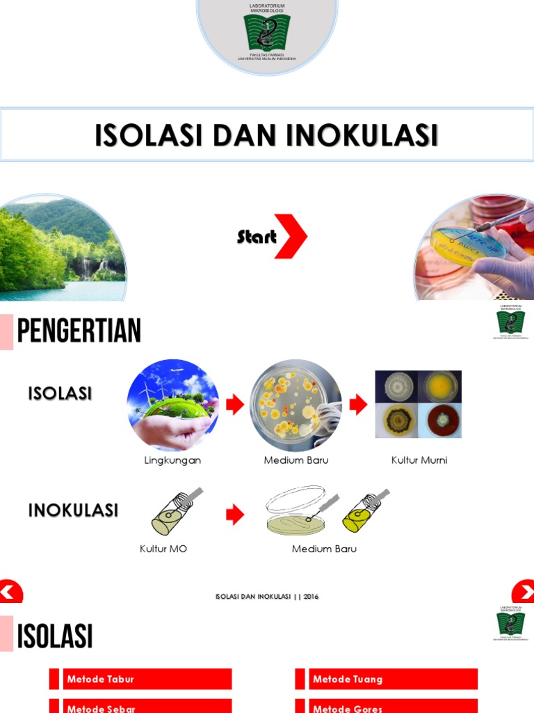 Isolasi Dan Inokulasi | PDF