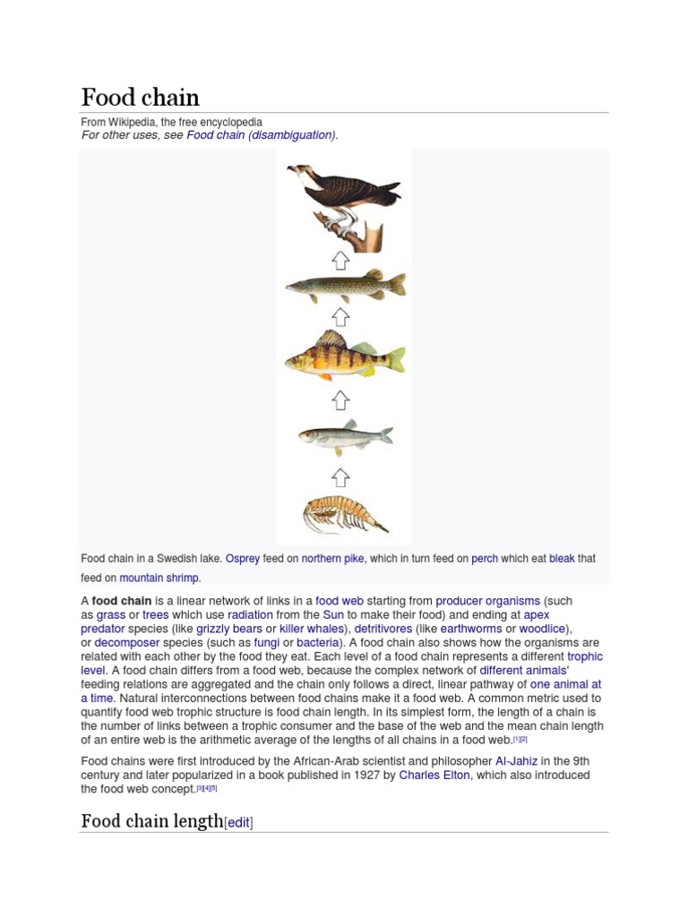 Food chain length and structure | PDF | Food Web | Systems Ecology
