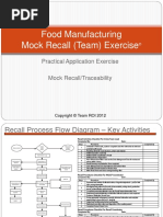 Mock Recall Record Sample | PDF