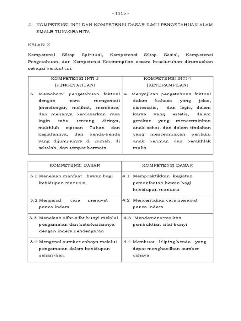 KI-KD IPA SMALB Tunagrahita K13 2017 | PDF