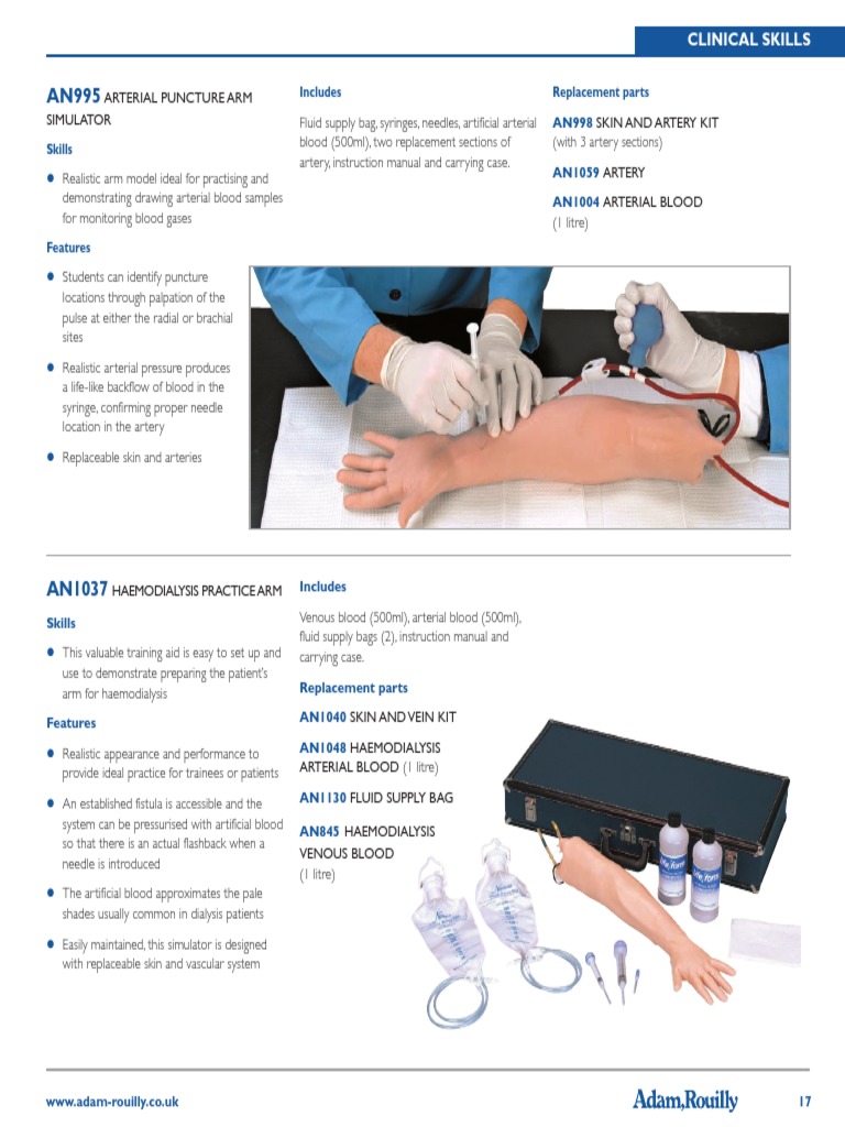 Arterial Puncture Arm | PDF | Hemodialysis | Artery