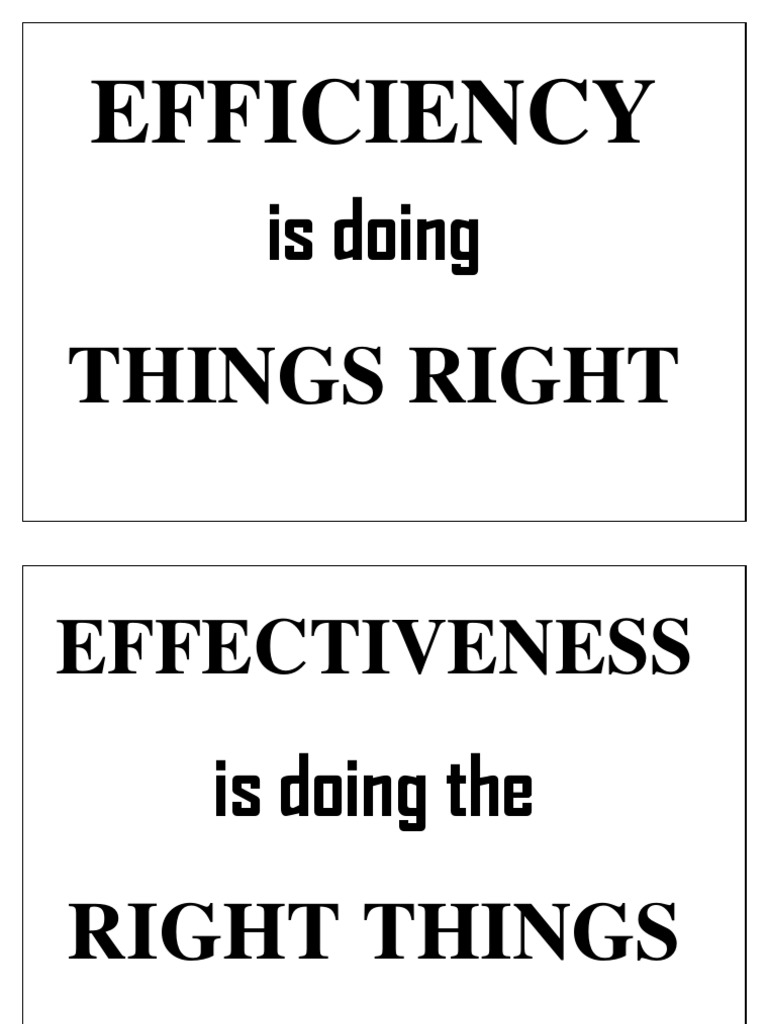 Efficiency: Is Doing Things Right | PDF