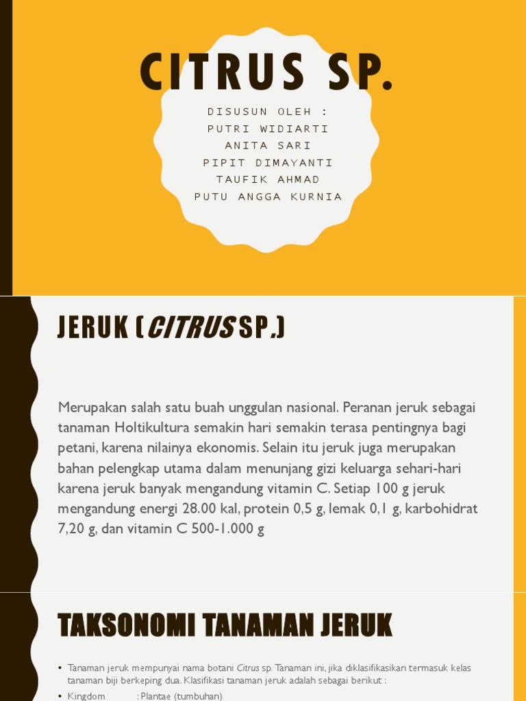 Citrus SP | PDF