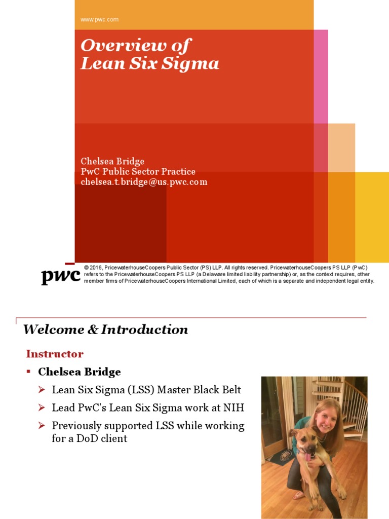 The Basics of Lean Six Sigma | PDF | Lean Manufacturing | Six Sigma