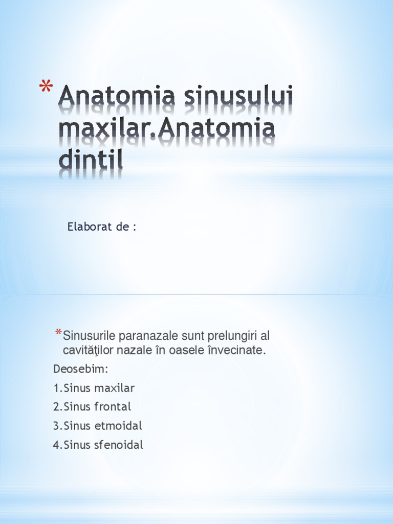 Anatomia Sinusului Maxilar | PDF