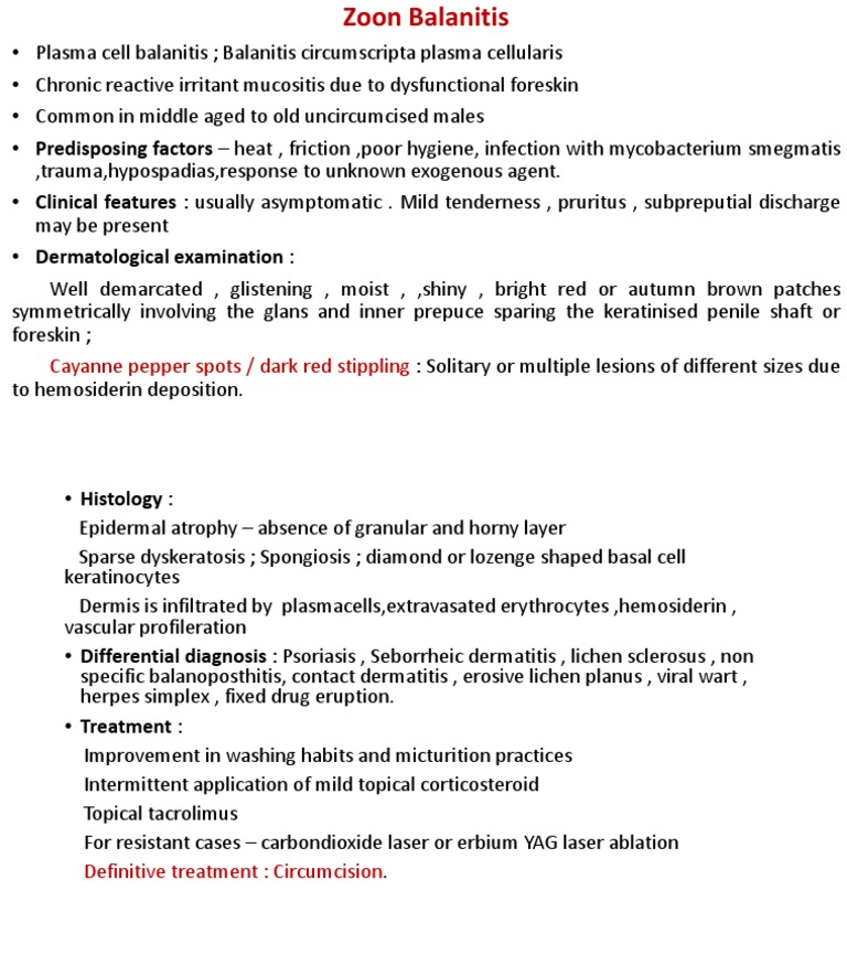 Zoons Balanitis | PDF