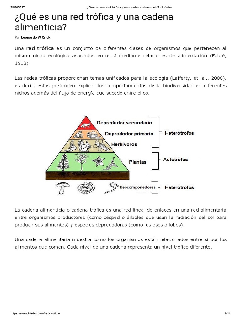 ¿Qué Es Una Red Trófica y Una Cadena Alimenticia | PDF | Red ...