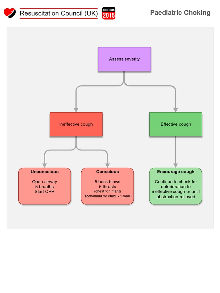 Paediatric Choking First Aid Steps | PDF